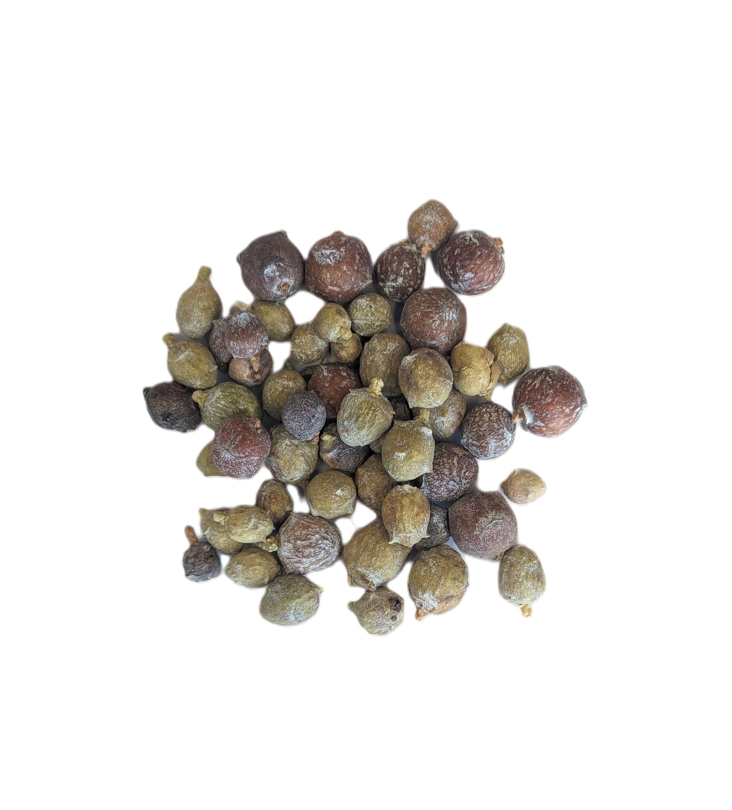 Cedar Berries | 4 Sisters Holistic Remedies